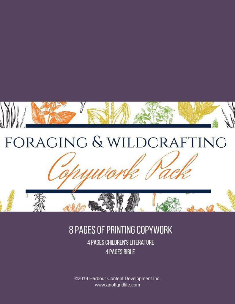 Intro to Foraging With Children Printables Bundle – An Off Grid Life