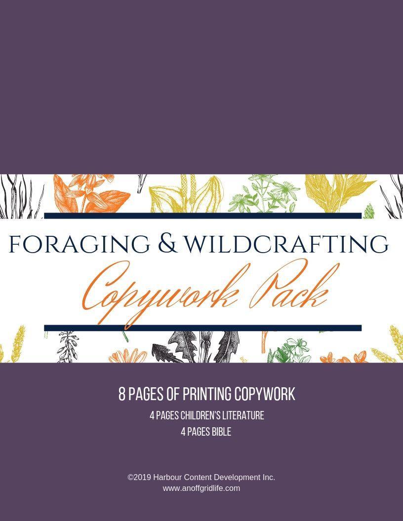 Intro to Foraging With Children Printables Bundle 100+ Pages – An Off ...