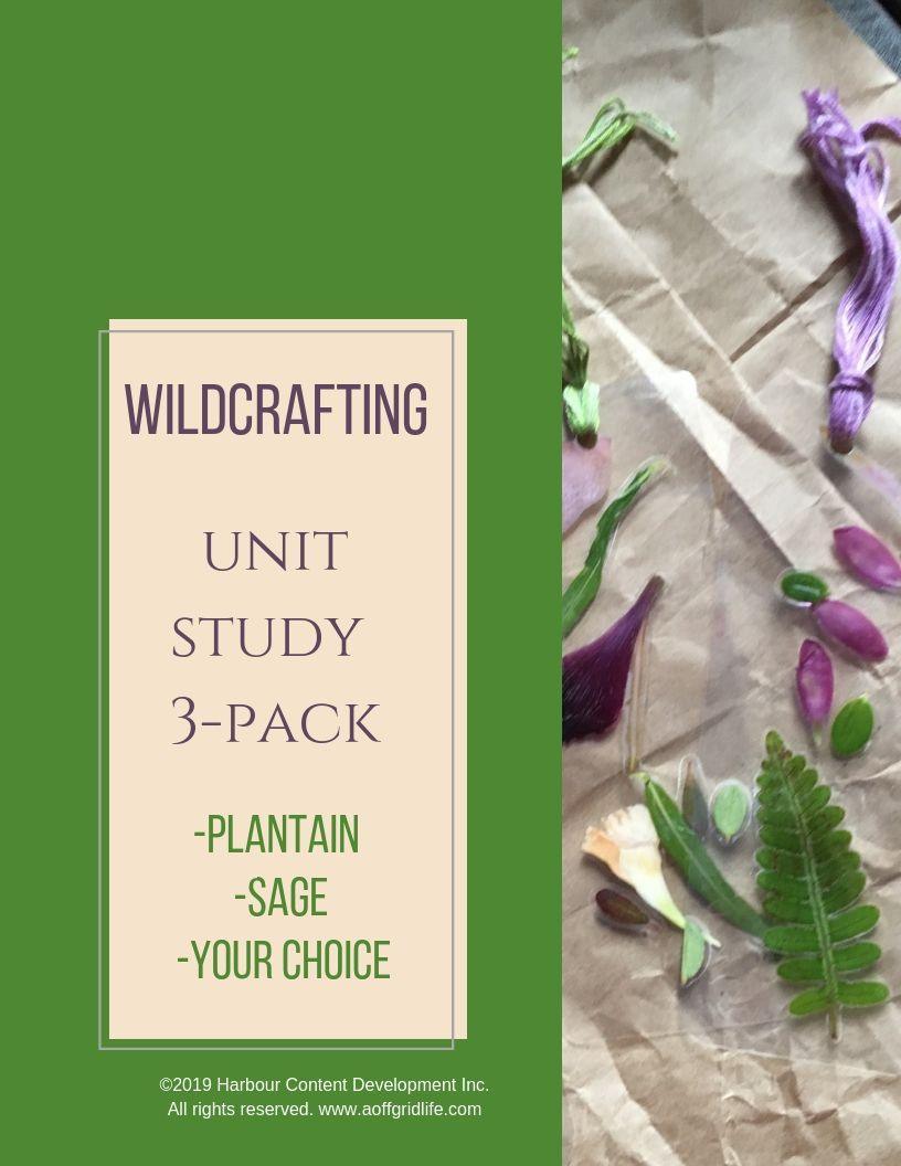 Intro to Foraging With Children Printables Bundle 100+ Pages – An Off ...