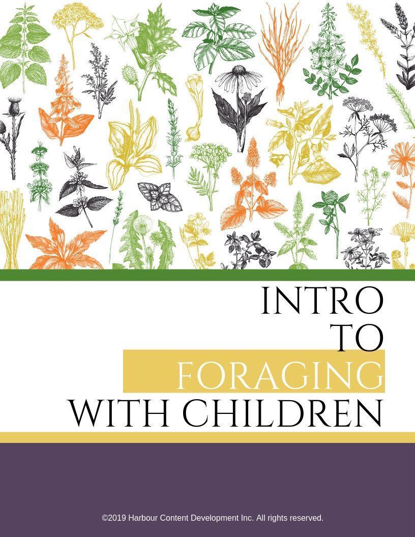 Intro to Foraging With Children Printables Bundle 100+ Pages – An Off ...
