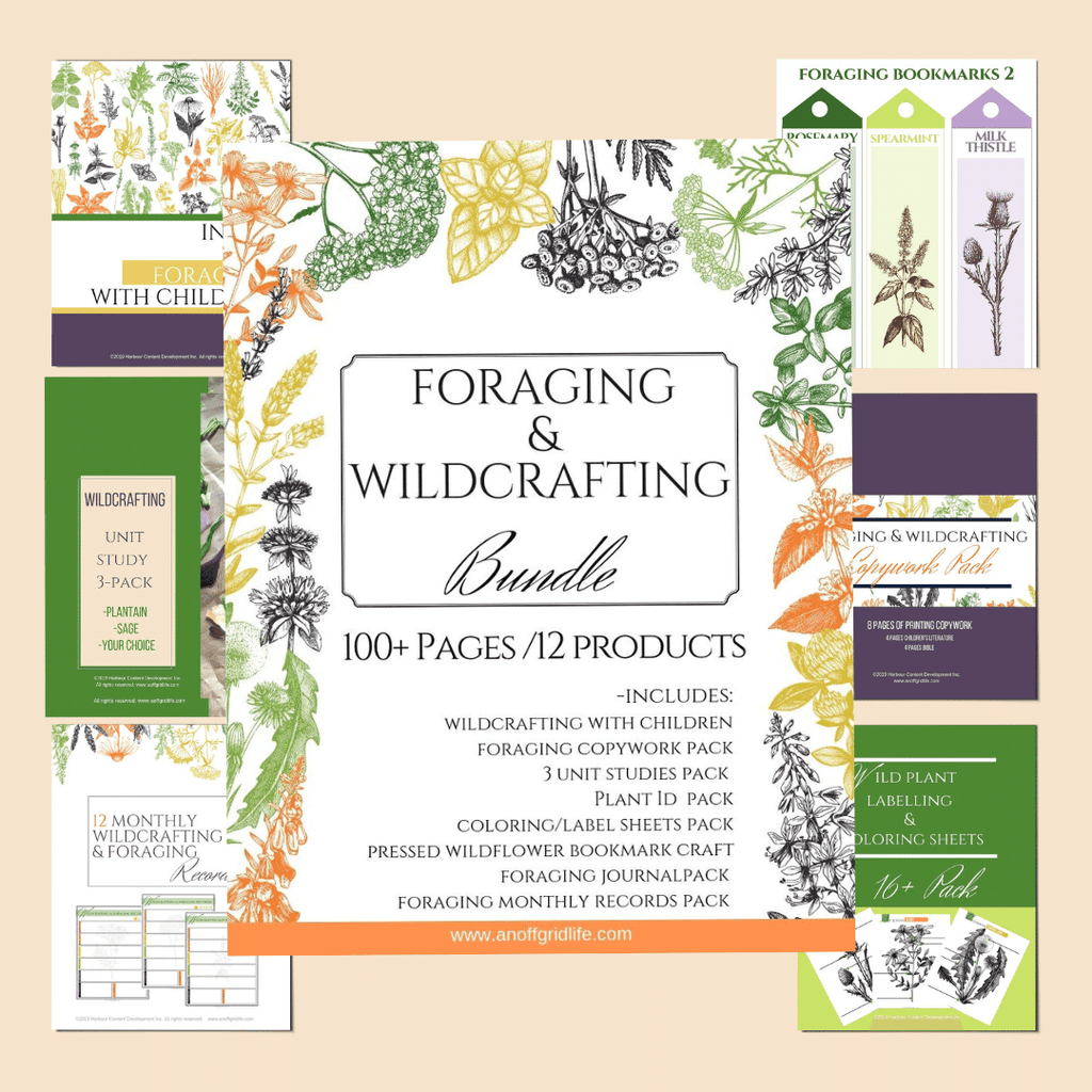 Intro to Foraging With Children Printables Bundle – An Off Grid Life
