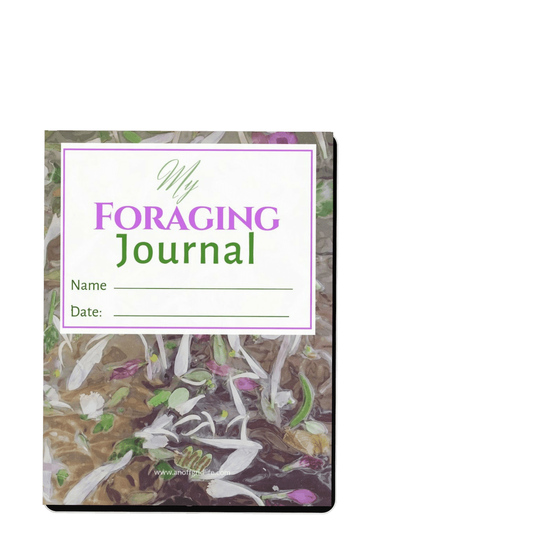 Foraging Journal #2 from An Off Grid Life