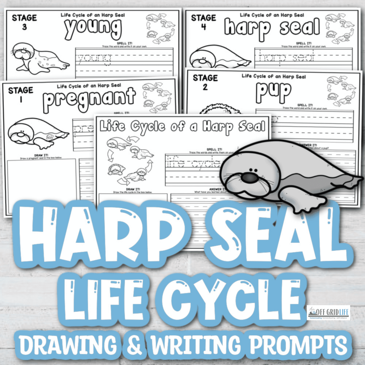 Harp Seal Life Cycle Drawing & Writing Prompts – An Off Grid Life
