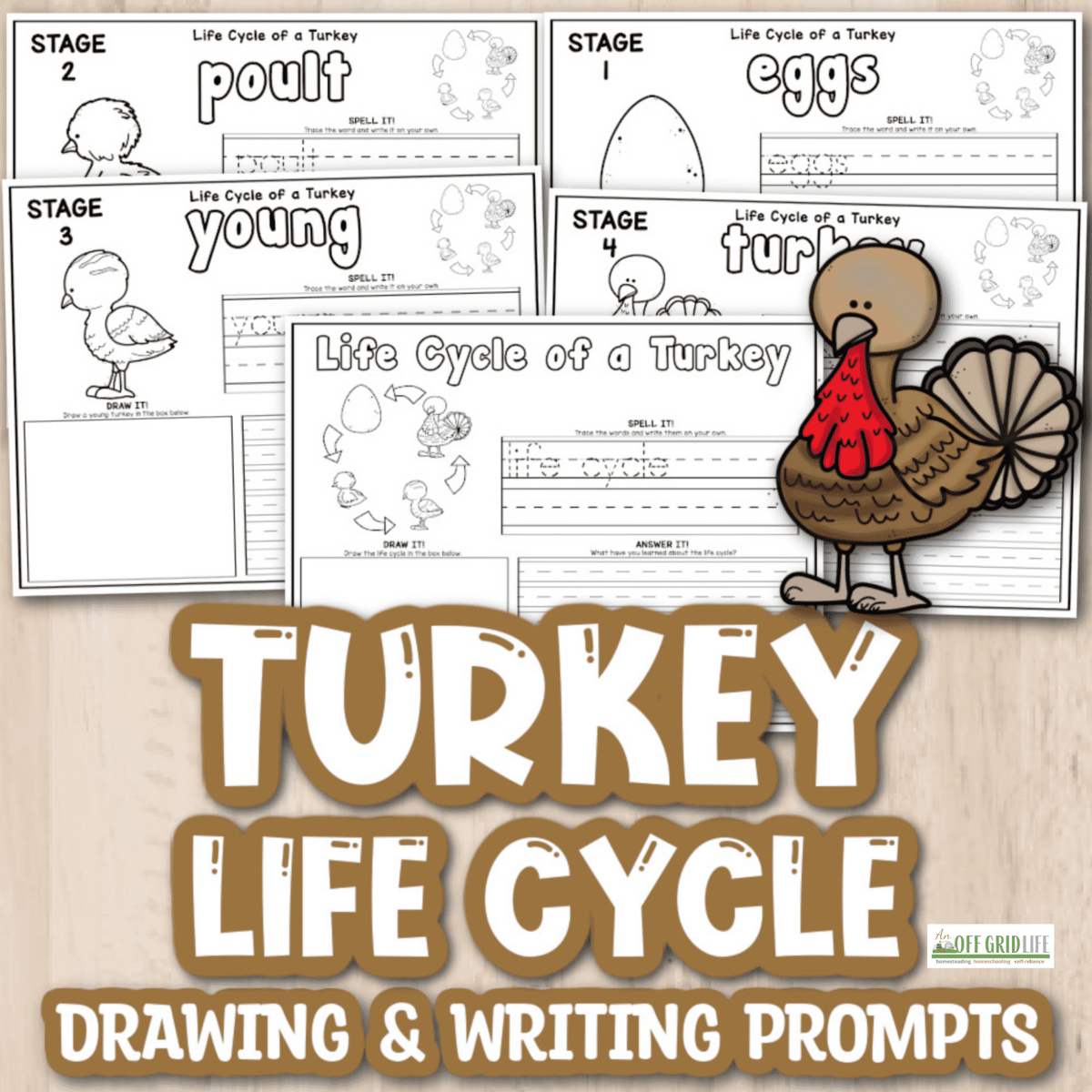 Turkey Life Cycle Drawing & Writing Prompts – An Off Grid Life
